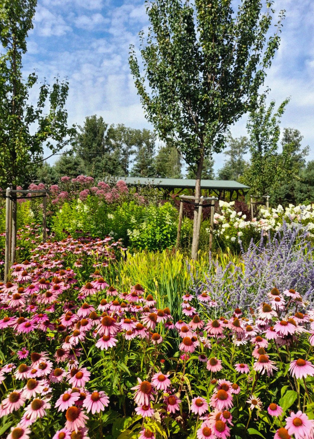Rabata naturalistyczna - Sztuka Krajobrazu